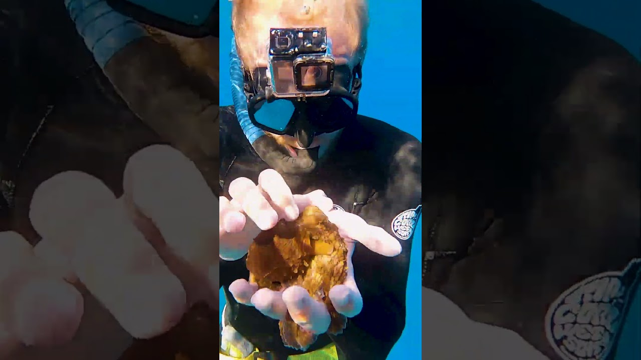 I introduced her to my little friend