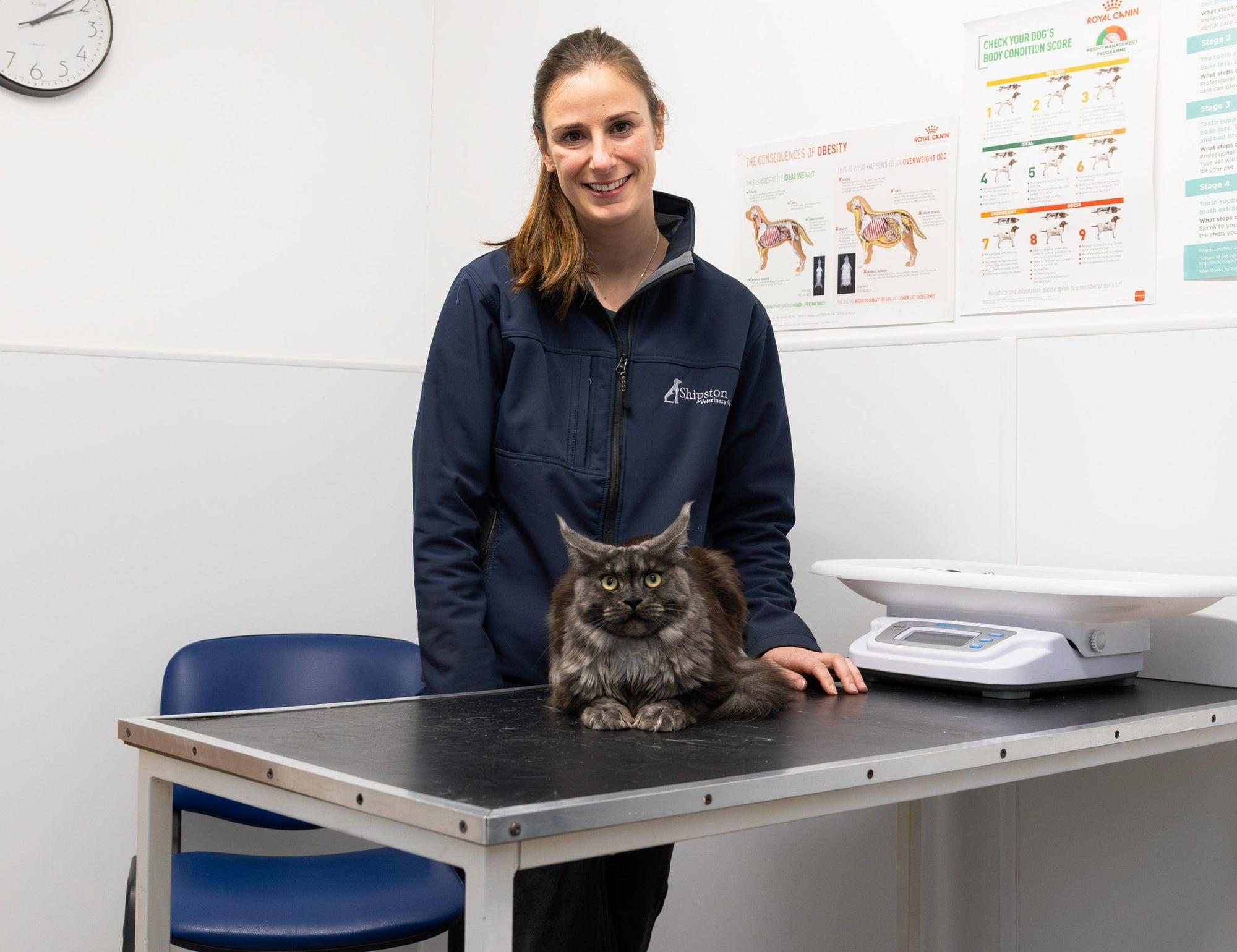 Warwickshire cat uses up one of her nine lives by eating 21 hairbands