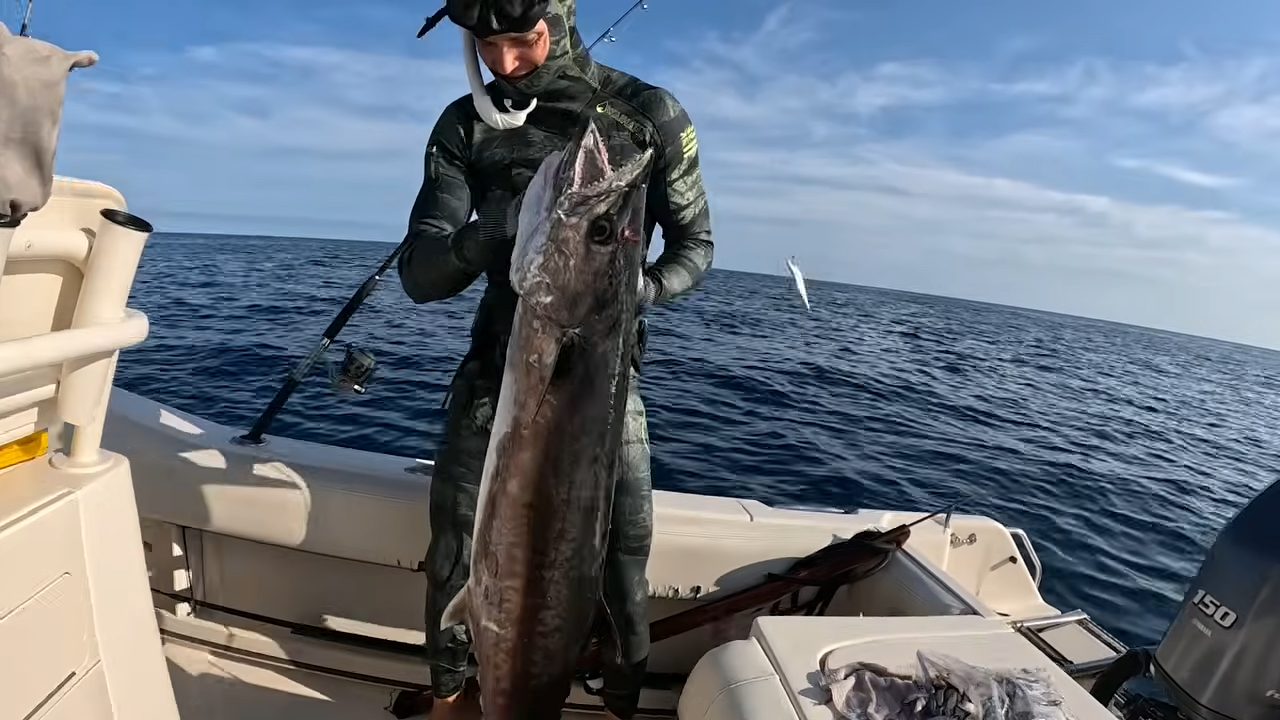 This is when spearfishing gets serious – fish, sharks, and no mistakes