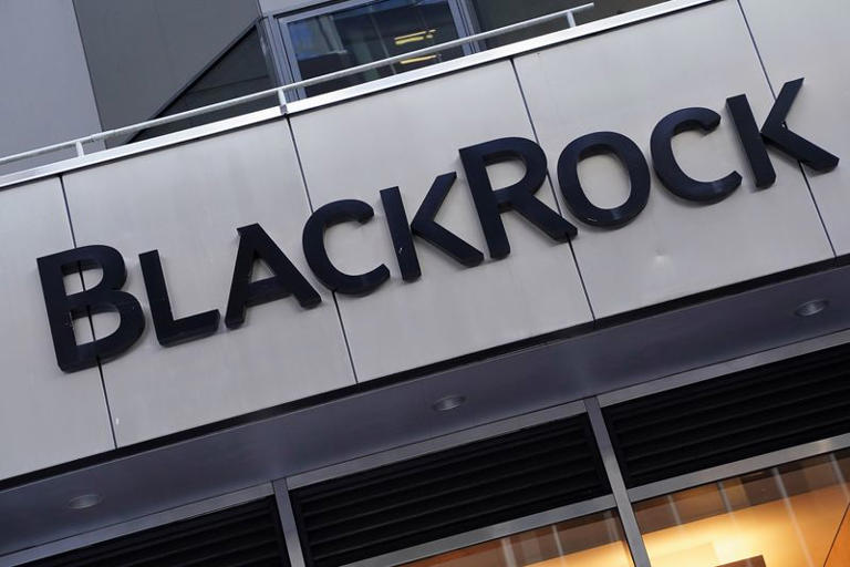 BlackRock to cut around 250 jobs in latest layoffs