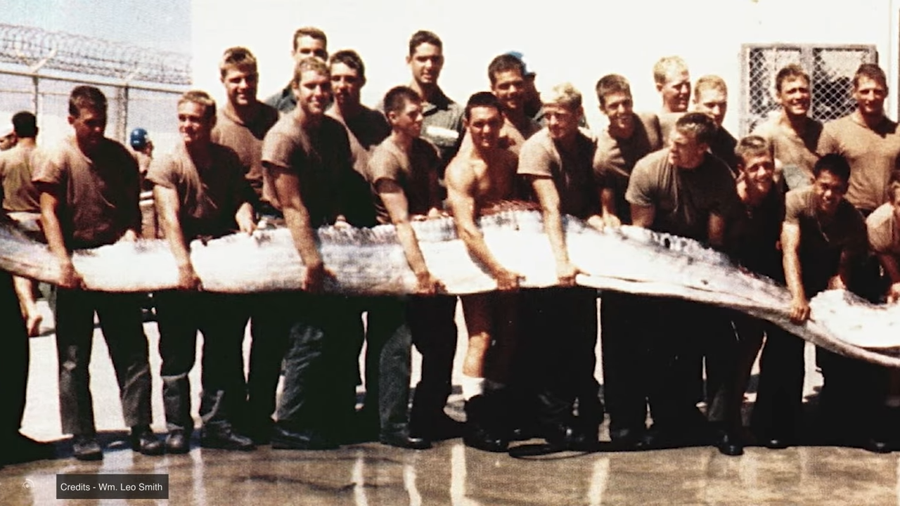 Doomsday fish washes ashore in California, is a massive earthquake coming?