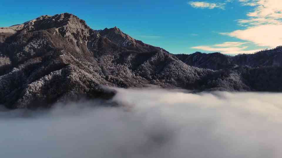 Easy homemade chimichurri recipe just like they make in Argentina