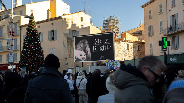 Hommages politiques : un exercice de mémoire sous contrainte