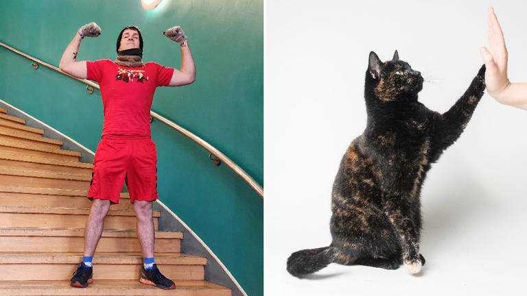 Your New Year's resolution could be to snap up one of 70 unclaimed ...