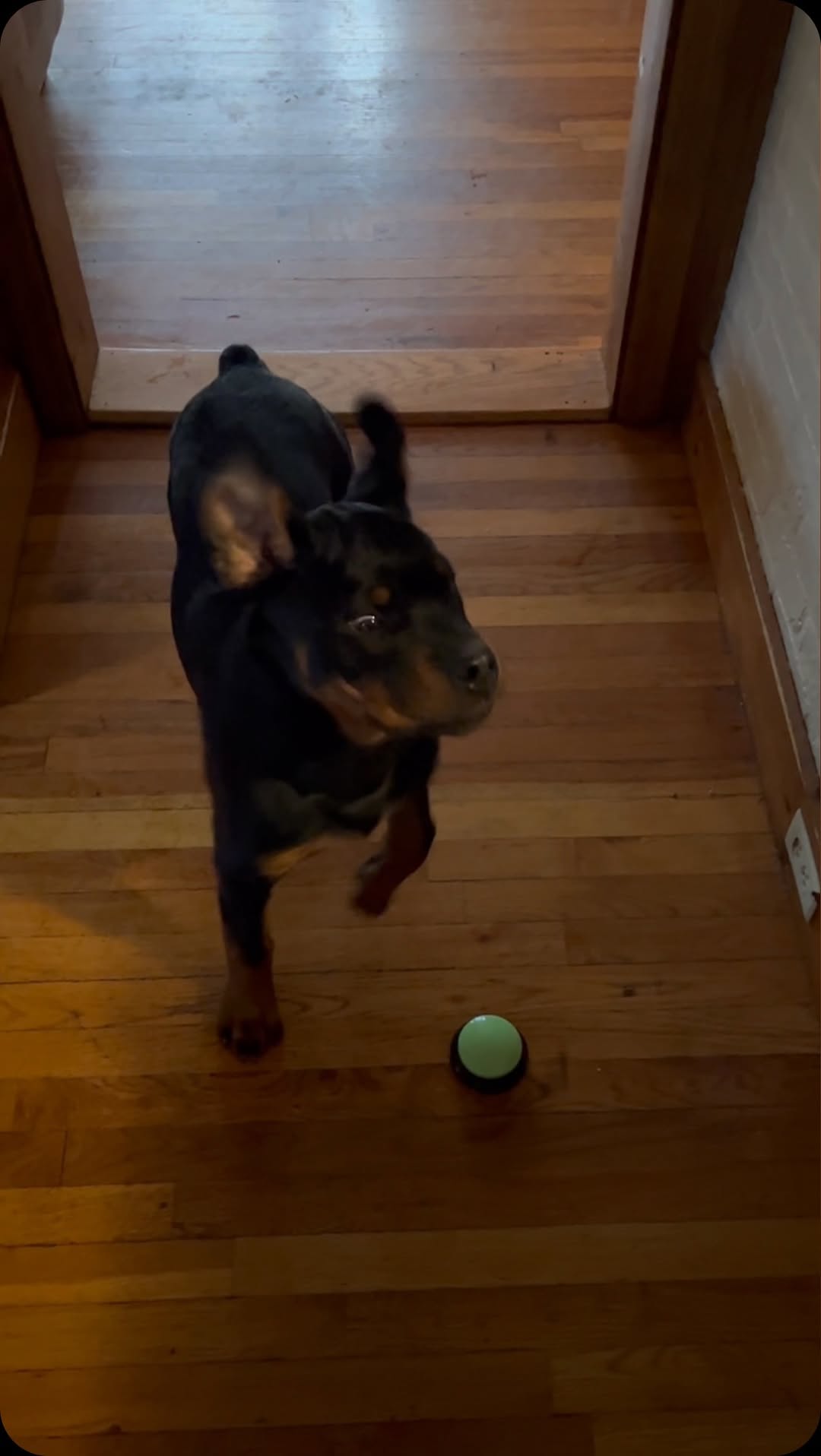 Should we get new buttons for the new house?