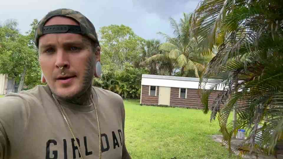 Why newborn venomous vipers demand immediate extreme caution