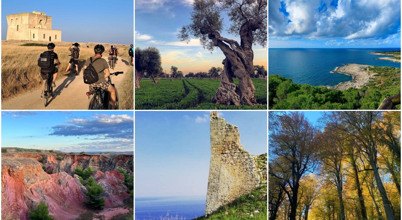 Natura in Puglia, i 5 parchi naturali da non perdere tra mare, grotte e ...