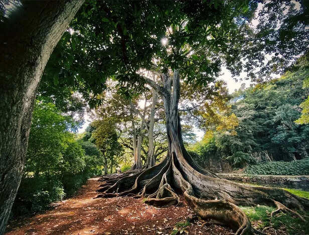 Simple living is quietly becoming the strongest lifestyle