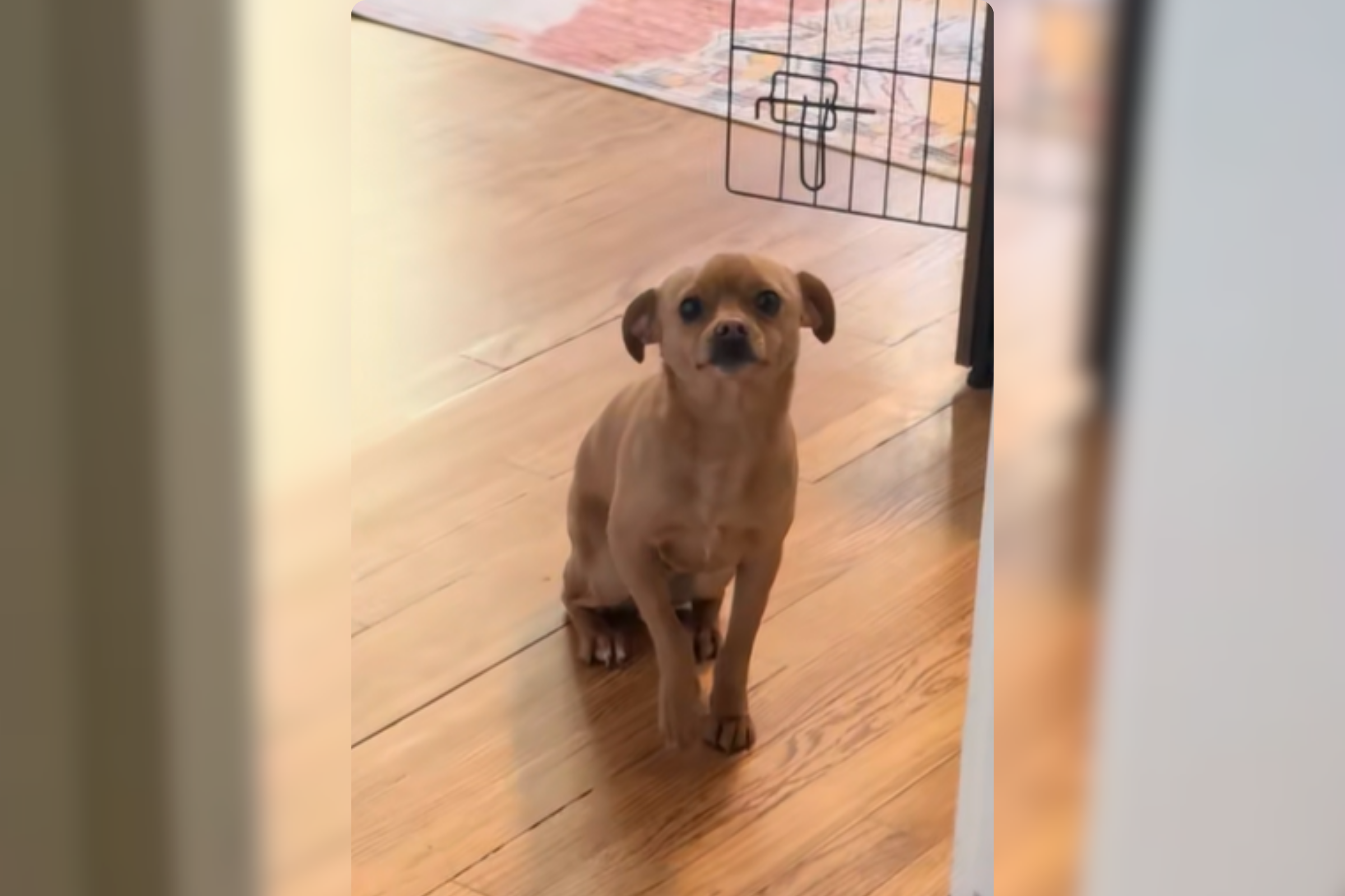 Woman wakes up after 12 hours, tears over who is waiting at bedroom door