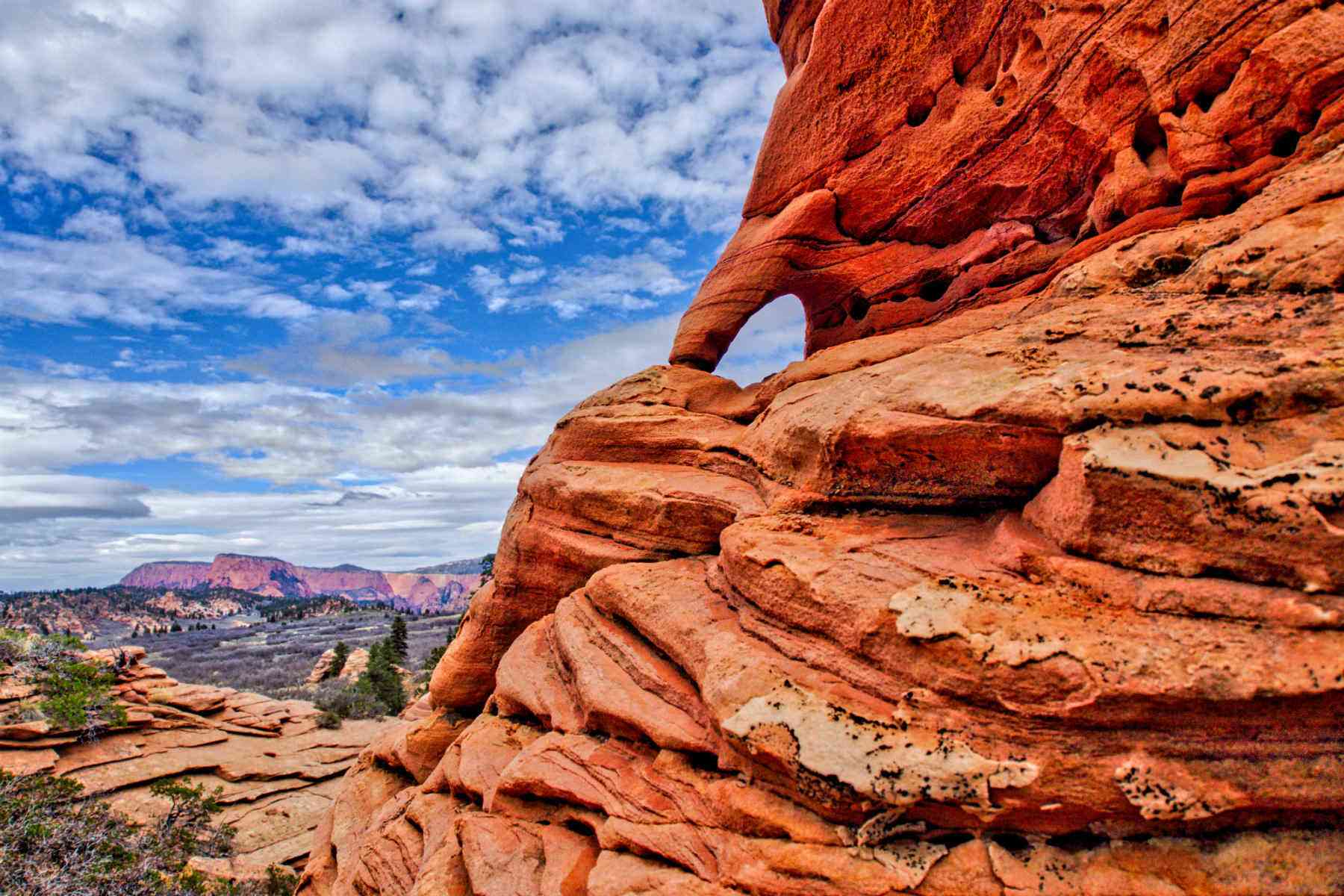 New national park fee is causing miles-long lines and driving visitors ...