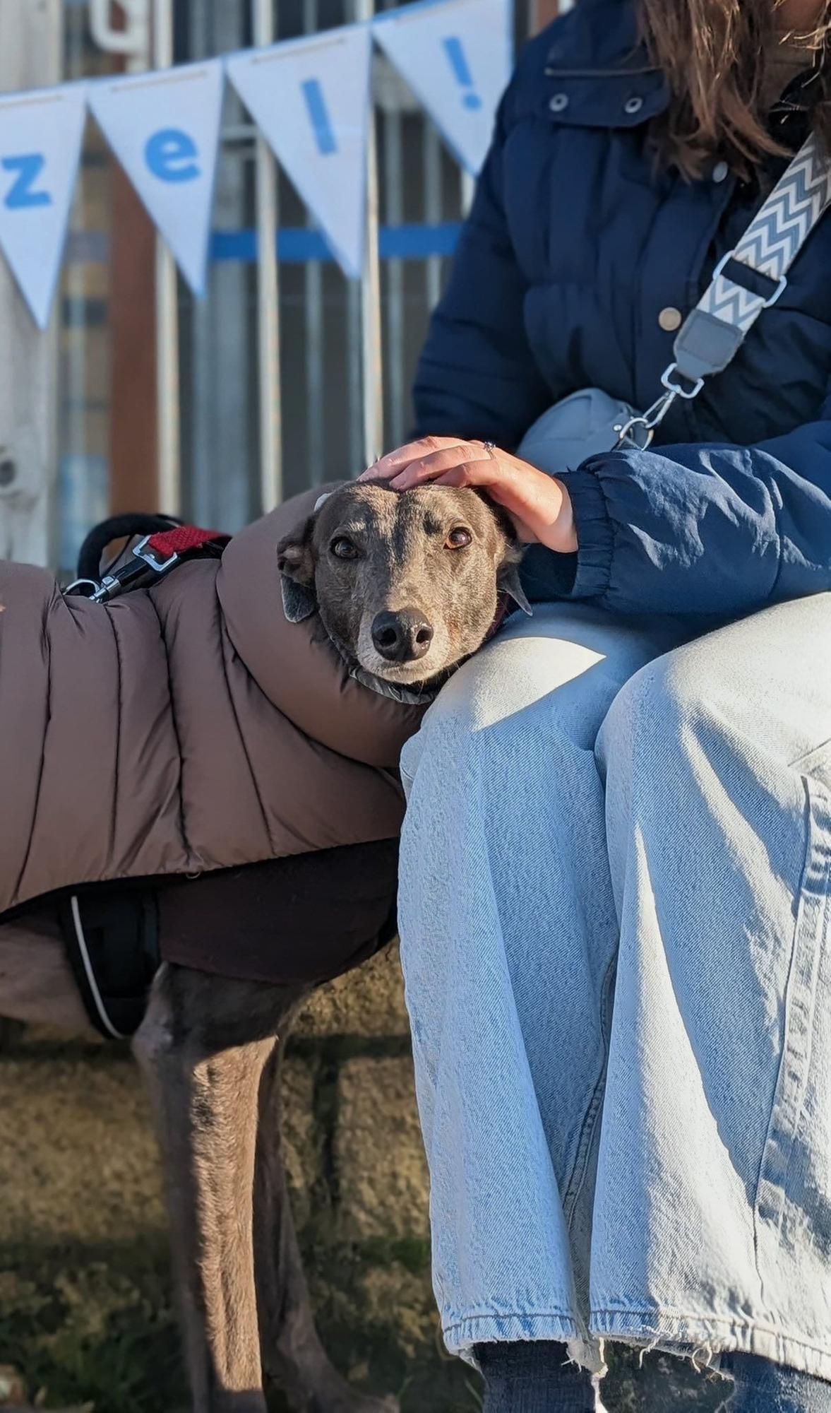 Bleakholt rehomes more than 1,000 animals in 2025