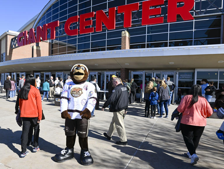 After hockey brawl among 8-year-olds, investigations are underway