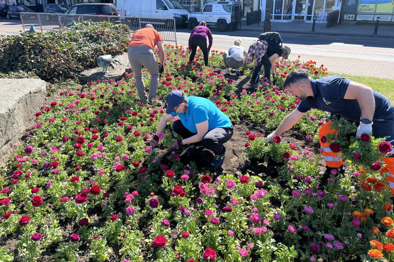 Morecambe celebrates success at North West in Bloom contest