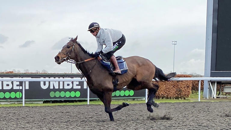 Henderson delighted to have Southwell opportunity for Constitution Hill