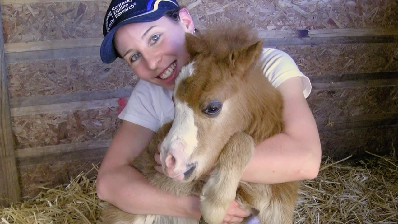 Why one broken tooth could’ve changed everything