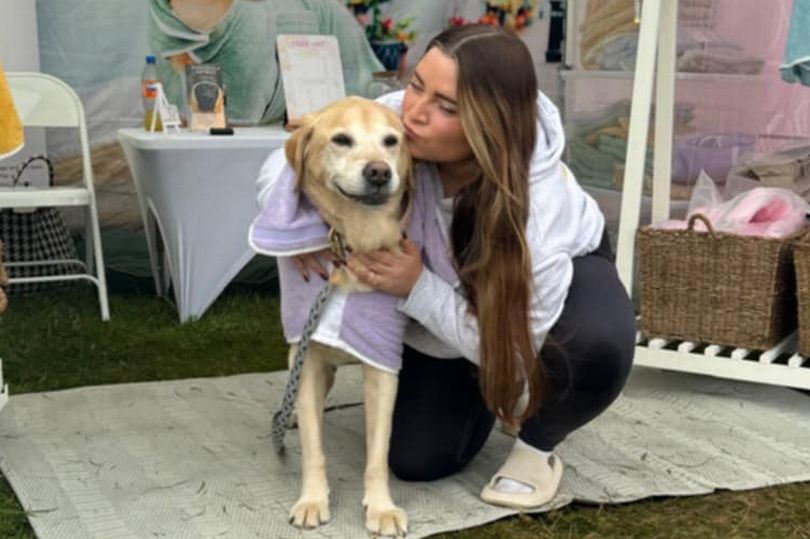 Couple launch GoFundMe so dog can make wedding and the reason is ...