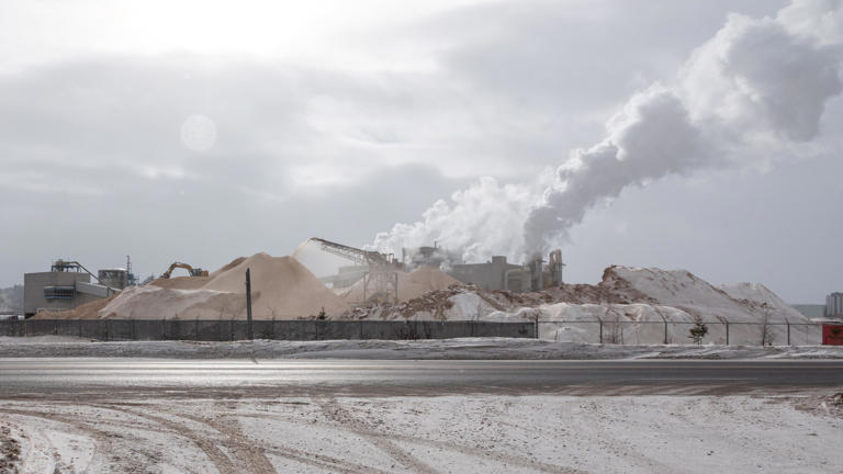 Faillite de FF Soucy : où iront les copeaux de bois?