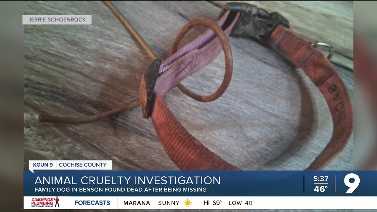 Benson family searches for answers after their dog is found dead