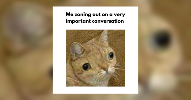 29 memes to broaden perspectives