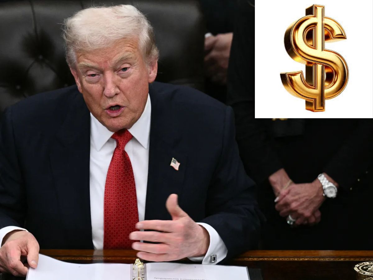 "When did I do that?": Trump's $2,000 tariff stimulus check: When will ...