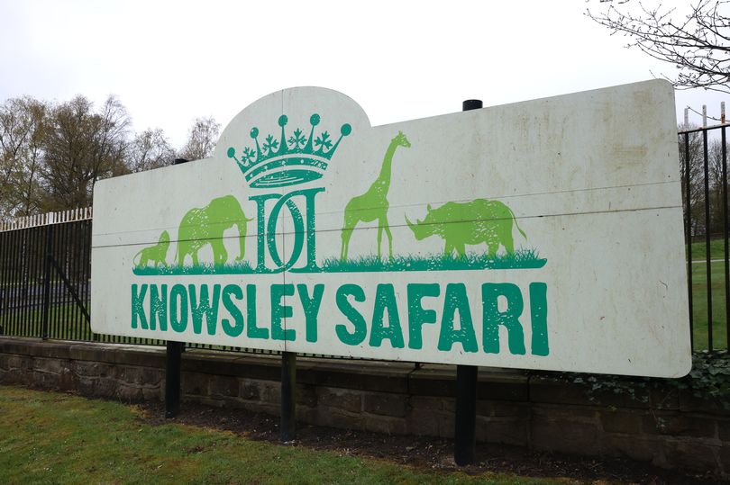 Knowsley Safari Park welcomes adorable new animal