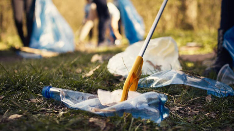 Call for people convicted of illegal dumping to do litter clean-ups ...