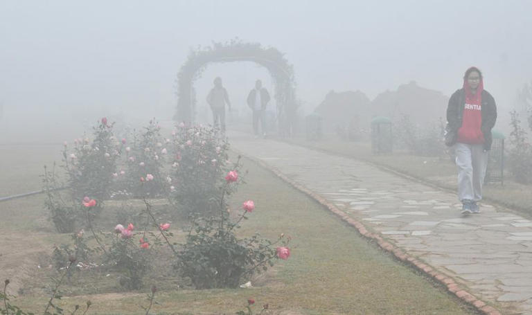 Winter blues: Tricity freezes at 9-year low; Chandigarh colder than Shimla