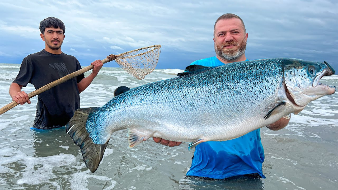 Giant salmon cooked for entire family with lemon and vegetables - delicious
