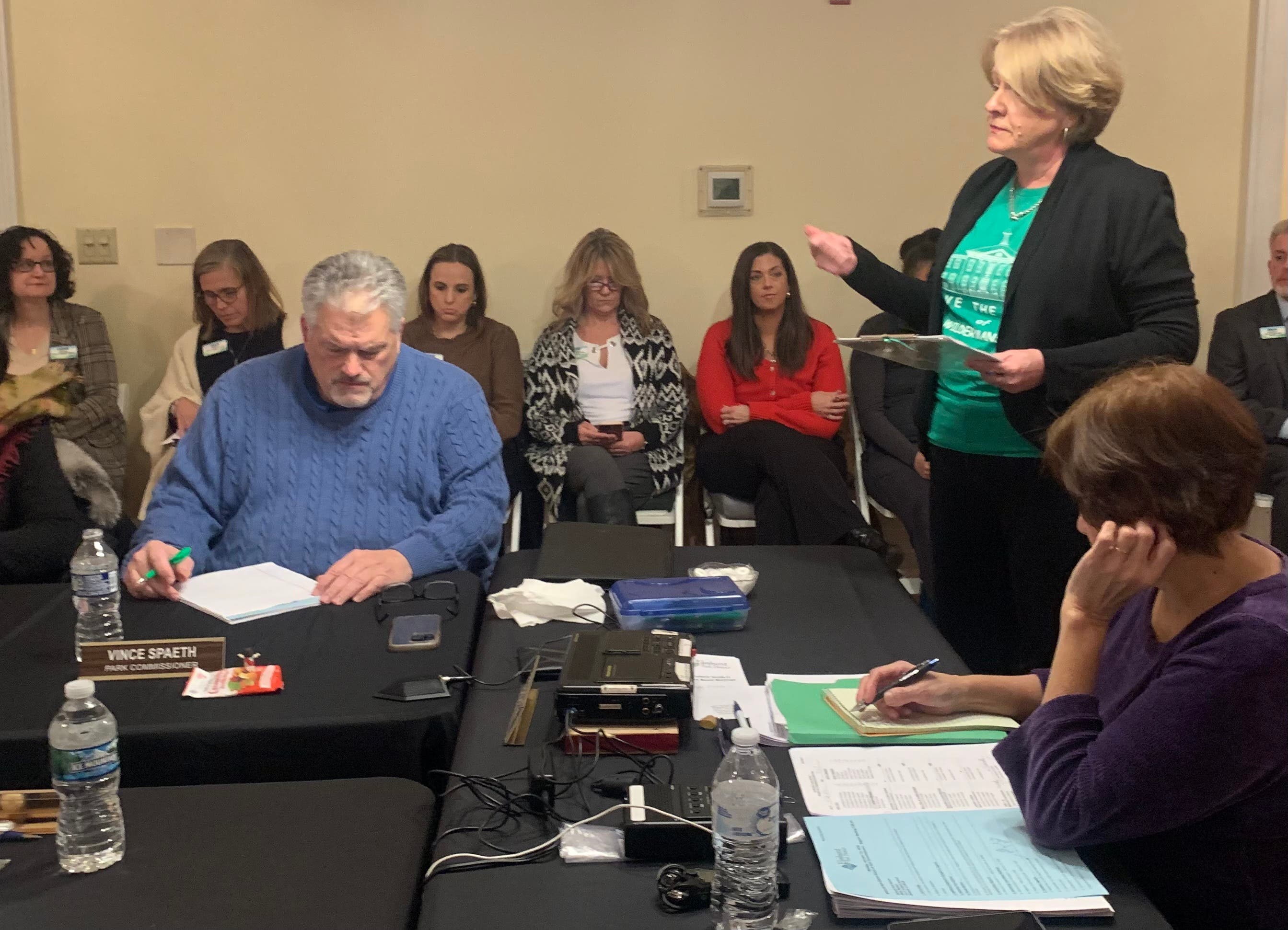 Elmhurst park officials pick unpopular site for bandshell