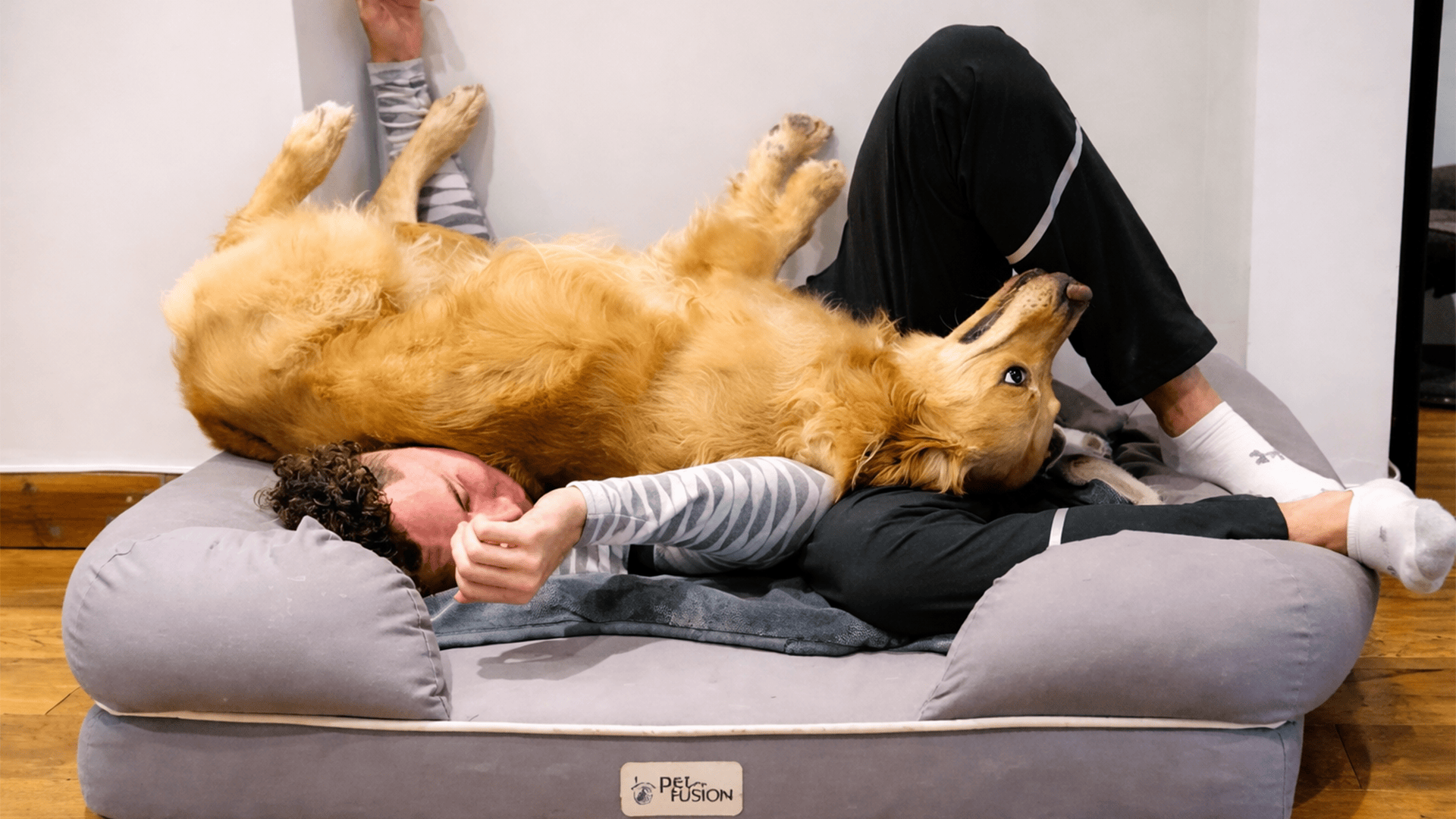 Trying to use my dog’s bed tonight