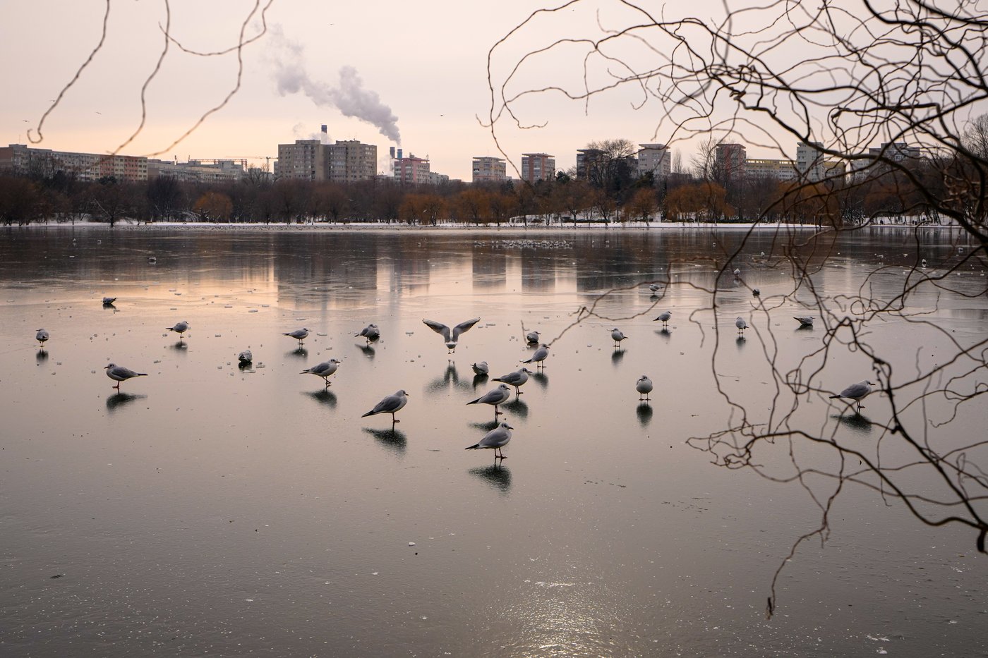 Freezing rain and ice disrupt travel across central and eastern Europe