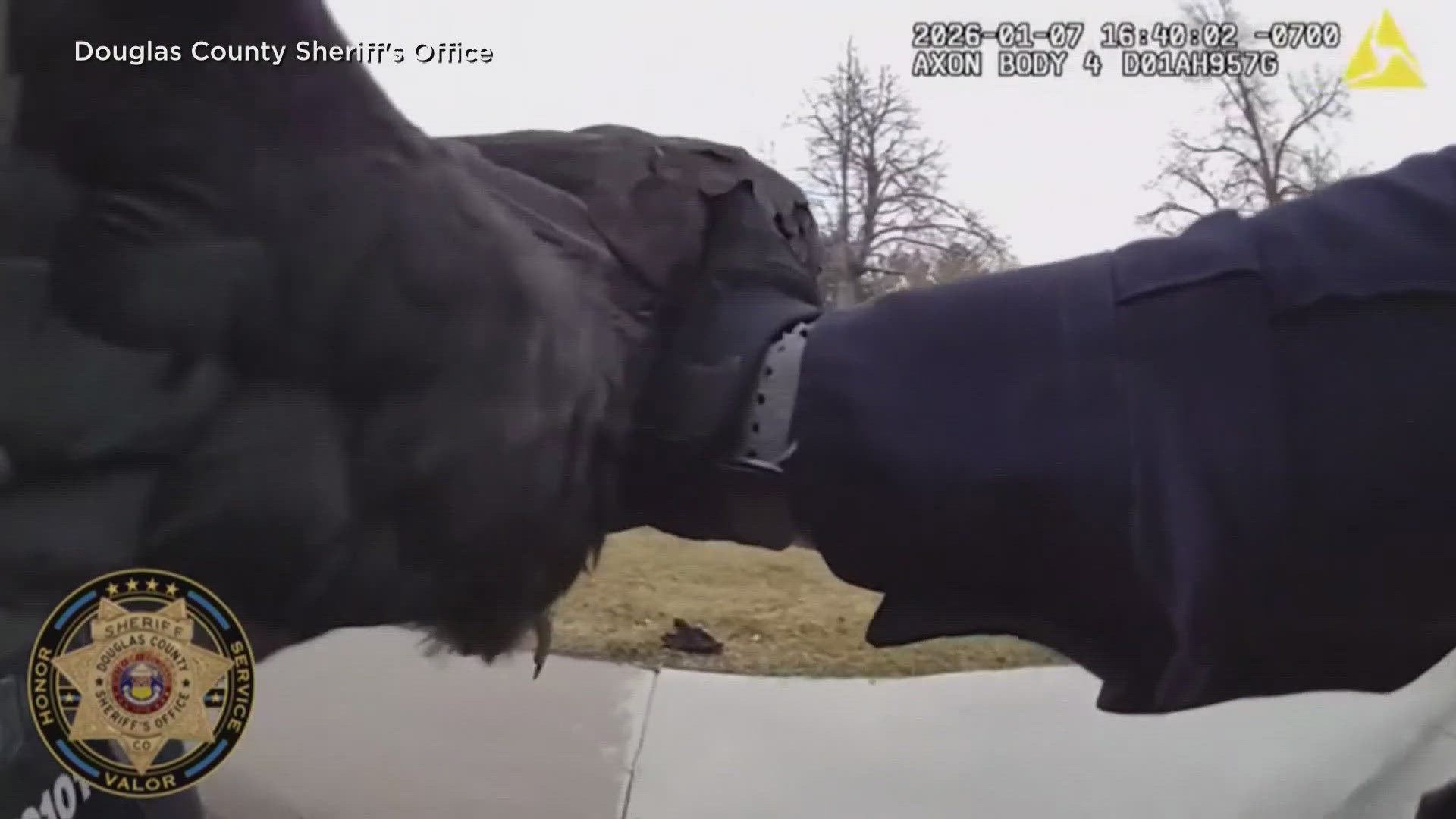 Sheriff’s deputy manages to catch flock of runaway chickens on the ...