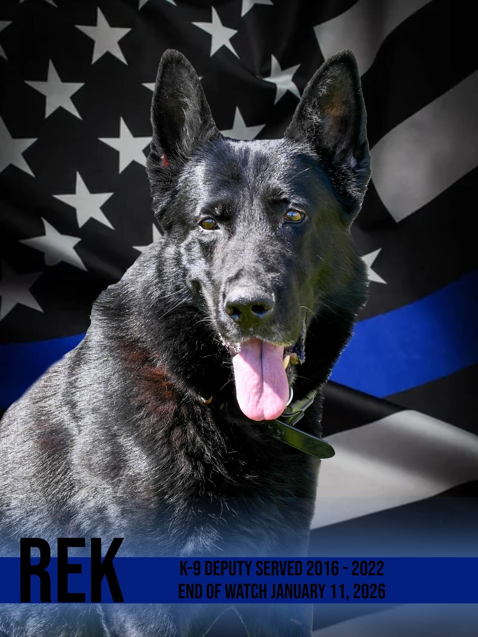 Randall County Sheriff’s Office mourns passing of K-9 Deputy Rek