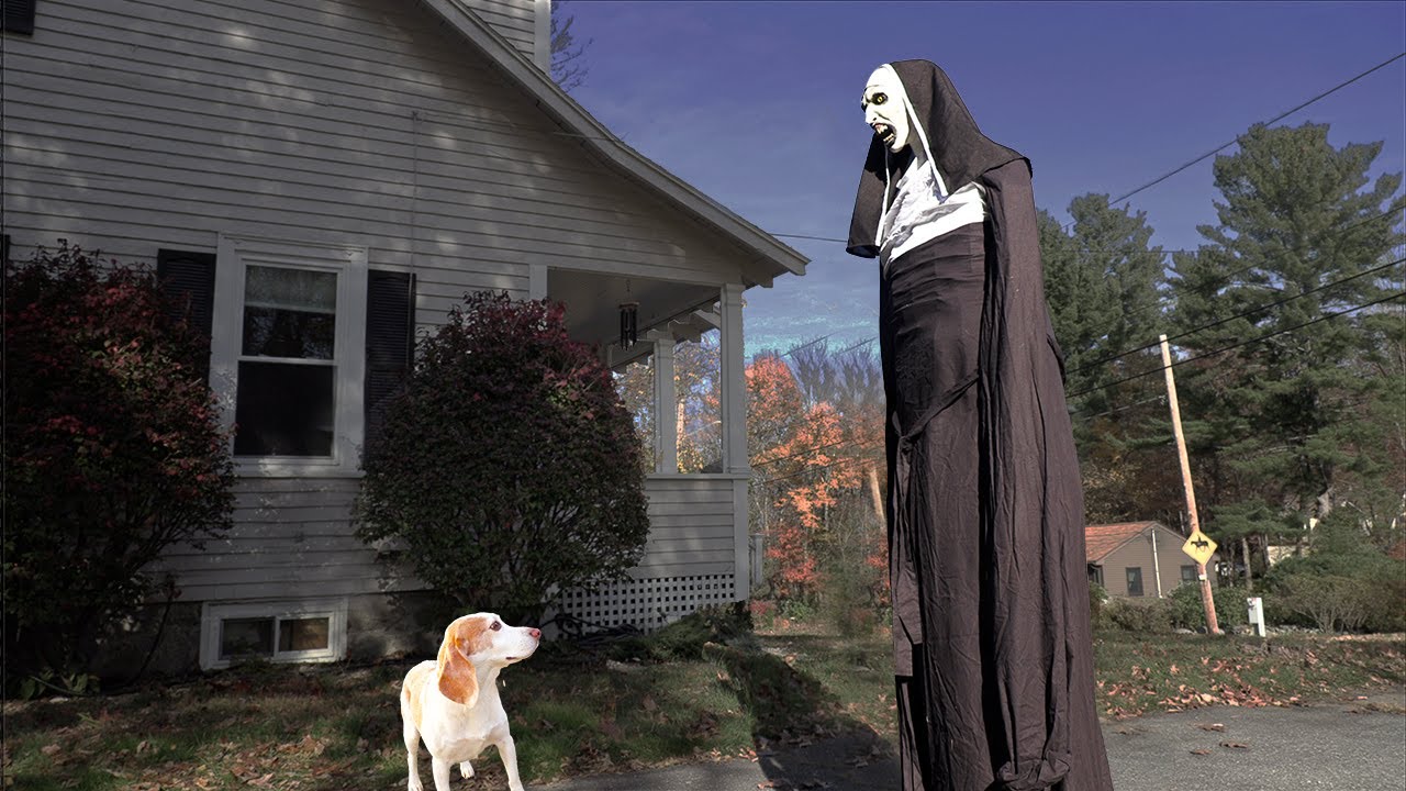 Evil nun grows giant to haunt dogs in scary prank