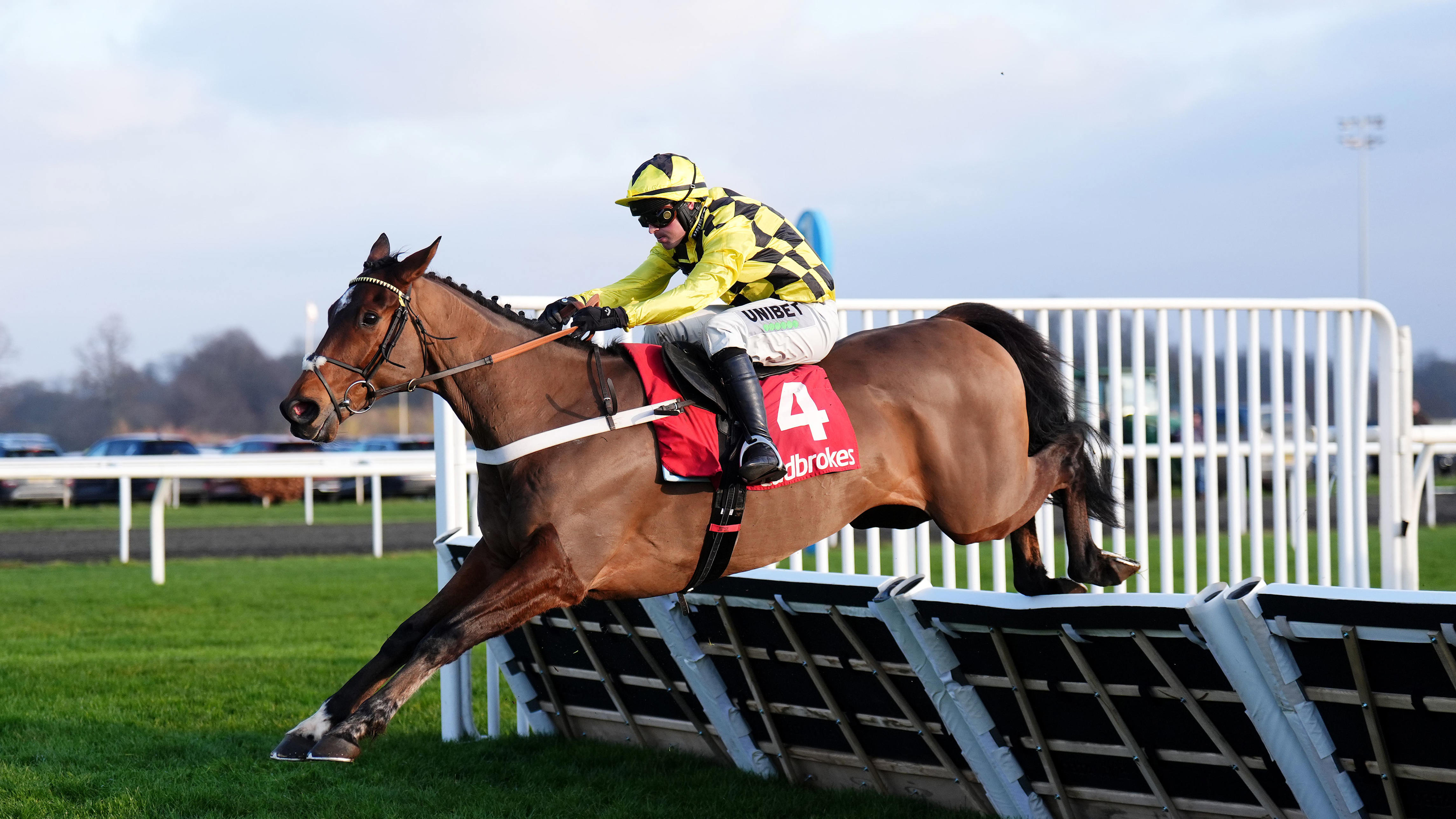 Star names all feature in Champion Hurdle list