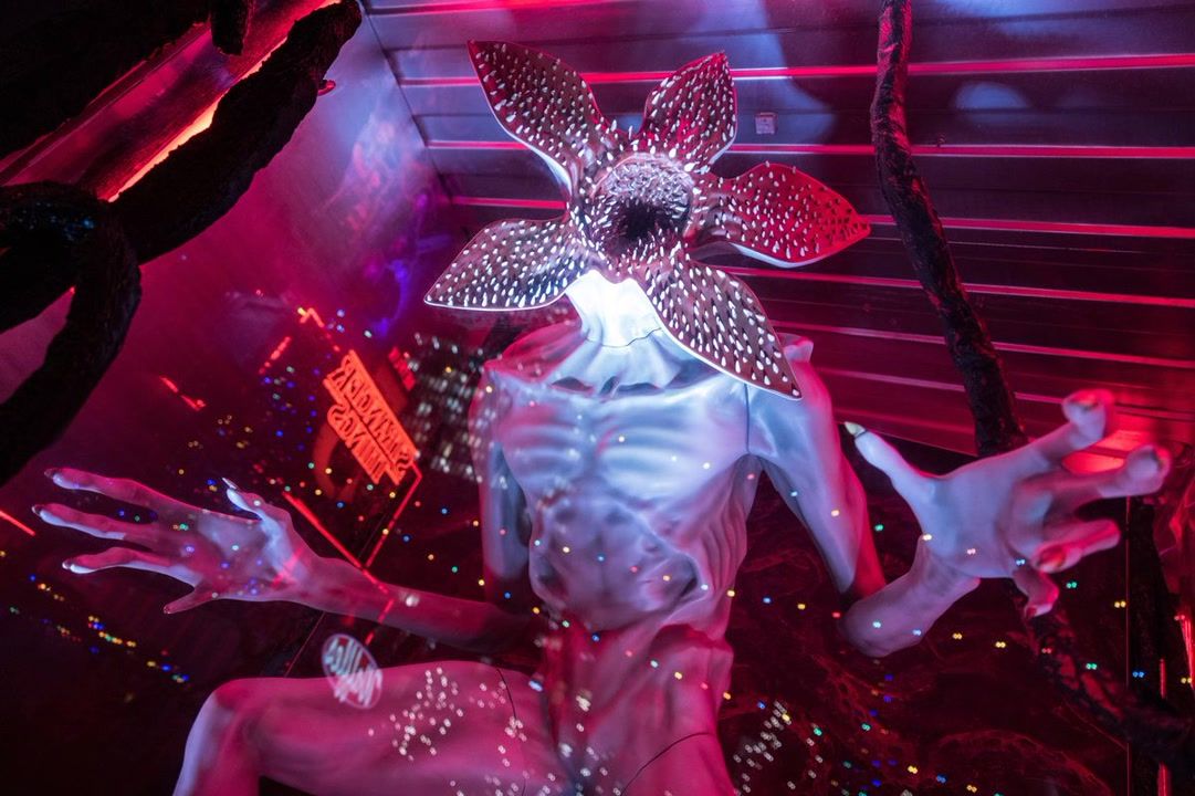 Stranger Things fans disappointed by series finale special