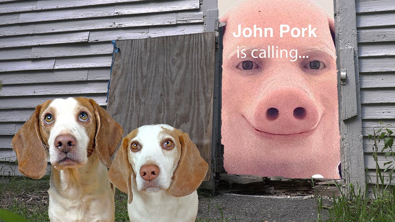 Dogs find John Pork hiding in creepy barn