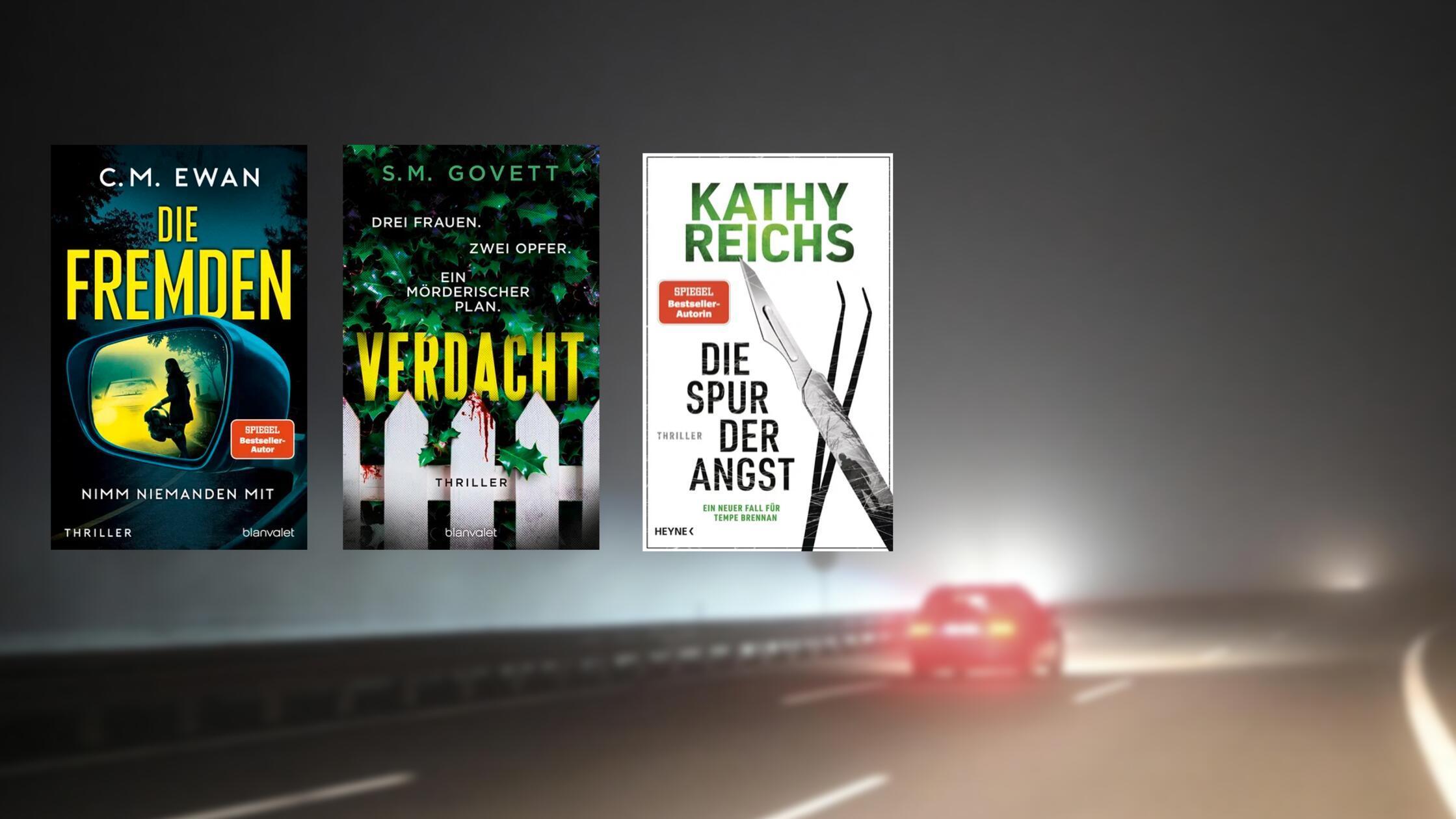 Neuerscheinungen im Februar: Diese neuen Bücher erwarten Thriller-Fans