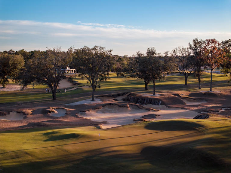 Best new courses of 2025: Thousands of ratings from our experts ...