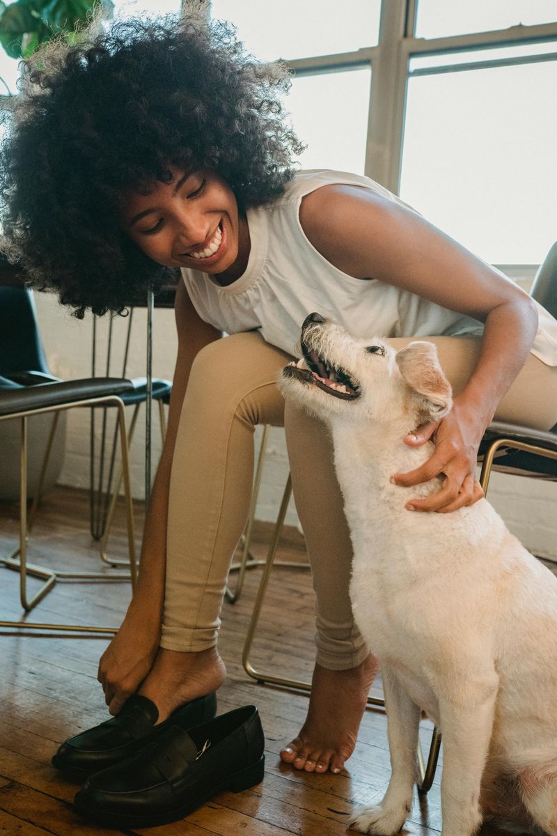 10 dog reactions that mean “stay close” rather than “leave me alone”