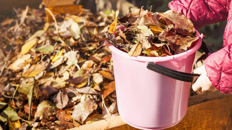 For a healthier garden come spring, add this DIY leaf mold to your soil