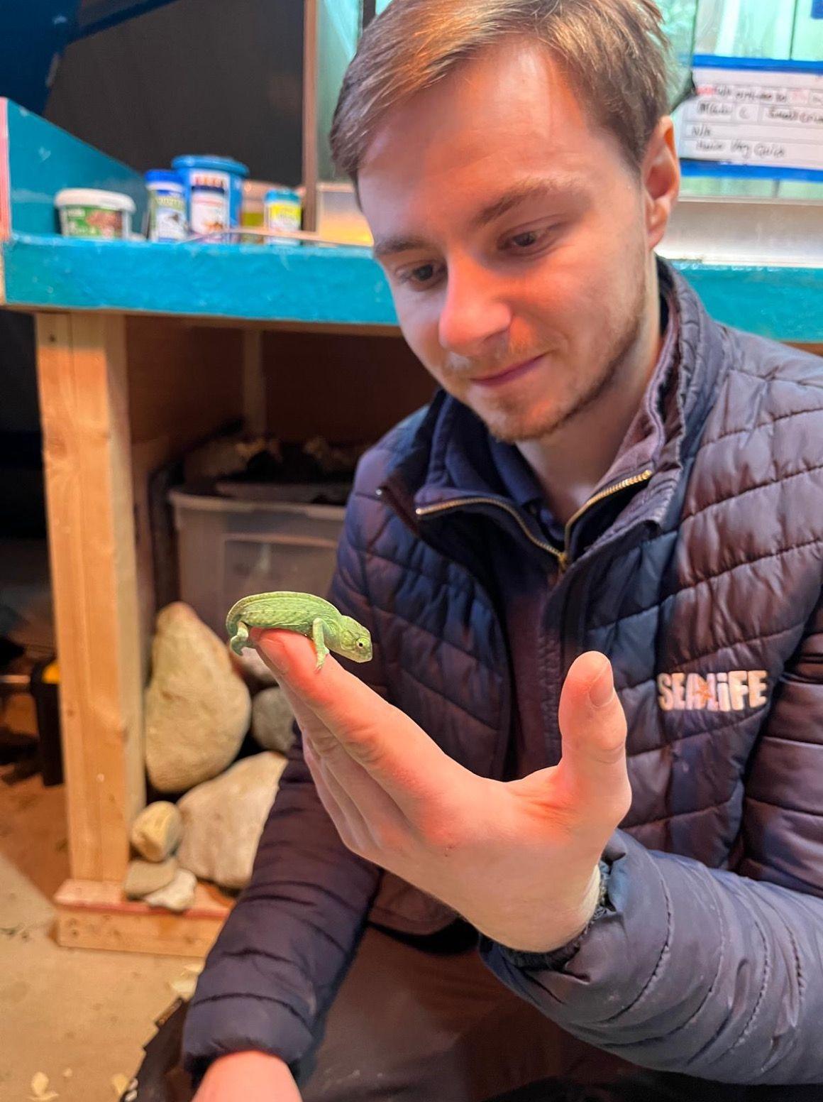 Just the job: Meet Karl, aquarist at SEA LIFE Scarborough