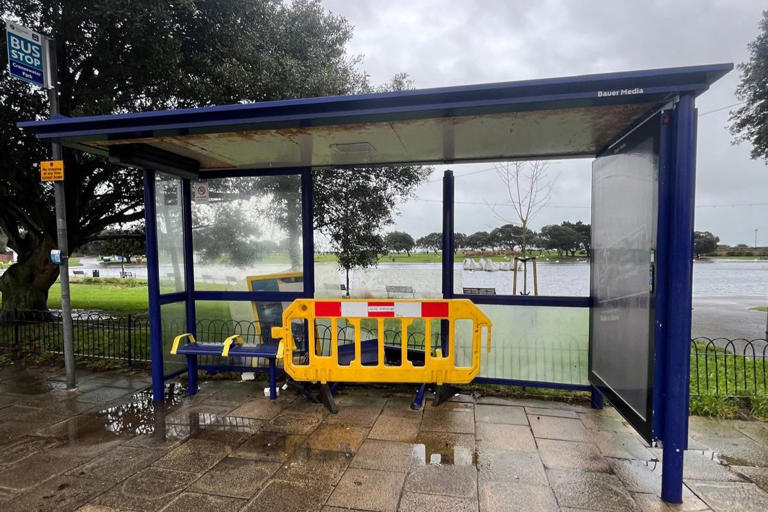 Cordon in place after car slams into bus shelter near Canoe Lake