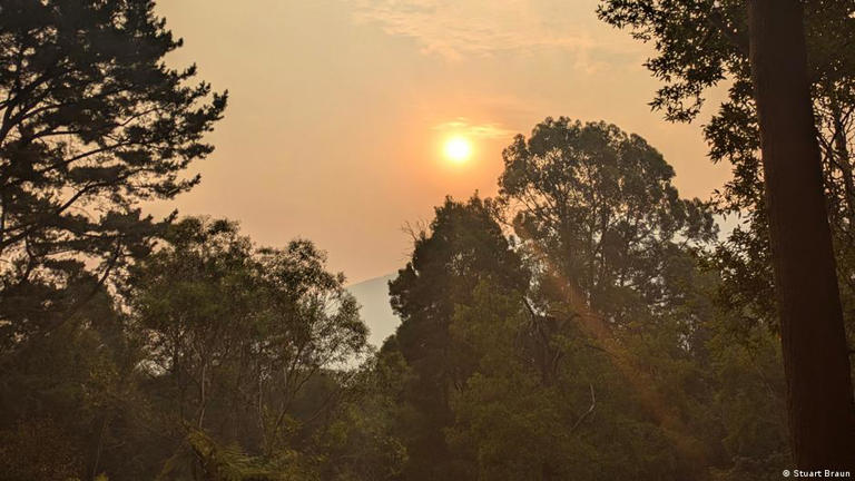 As Australia burns, locals learn to adapt