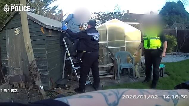 Man gets stuck on shed roof after trying to run from police