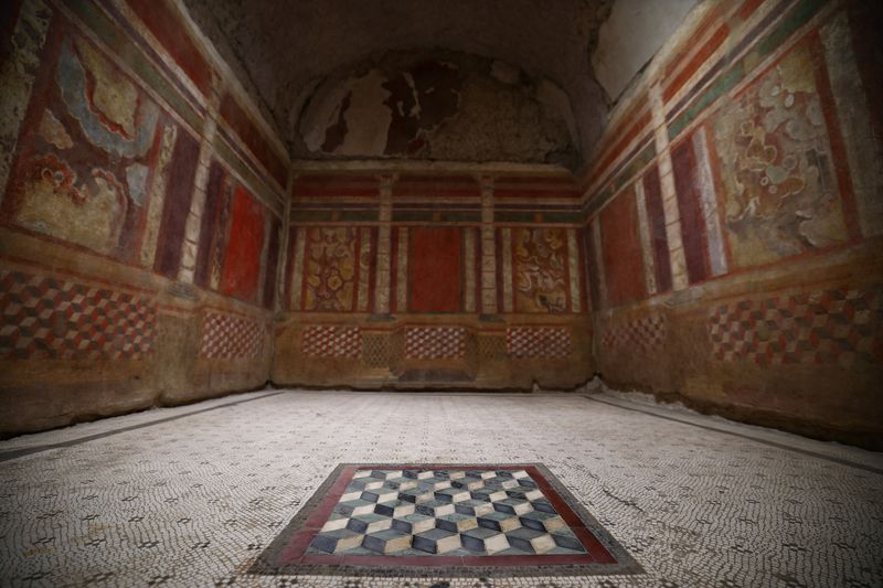 Ancient Roman home opens to the public - with remote guided tours