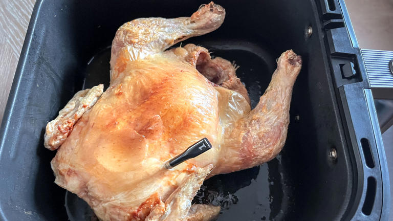 People are saying you shouldn't cook chicken in the air fryer — here's ...