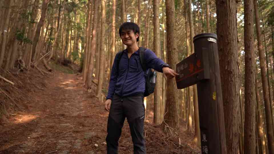 How Japanese green tea is made