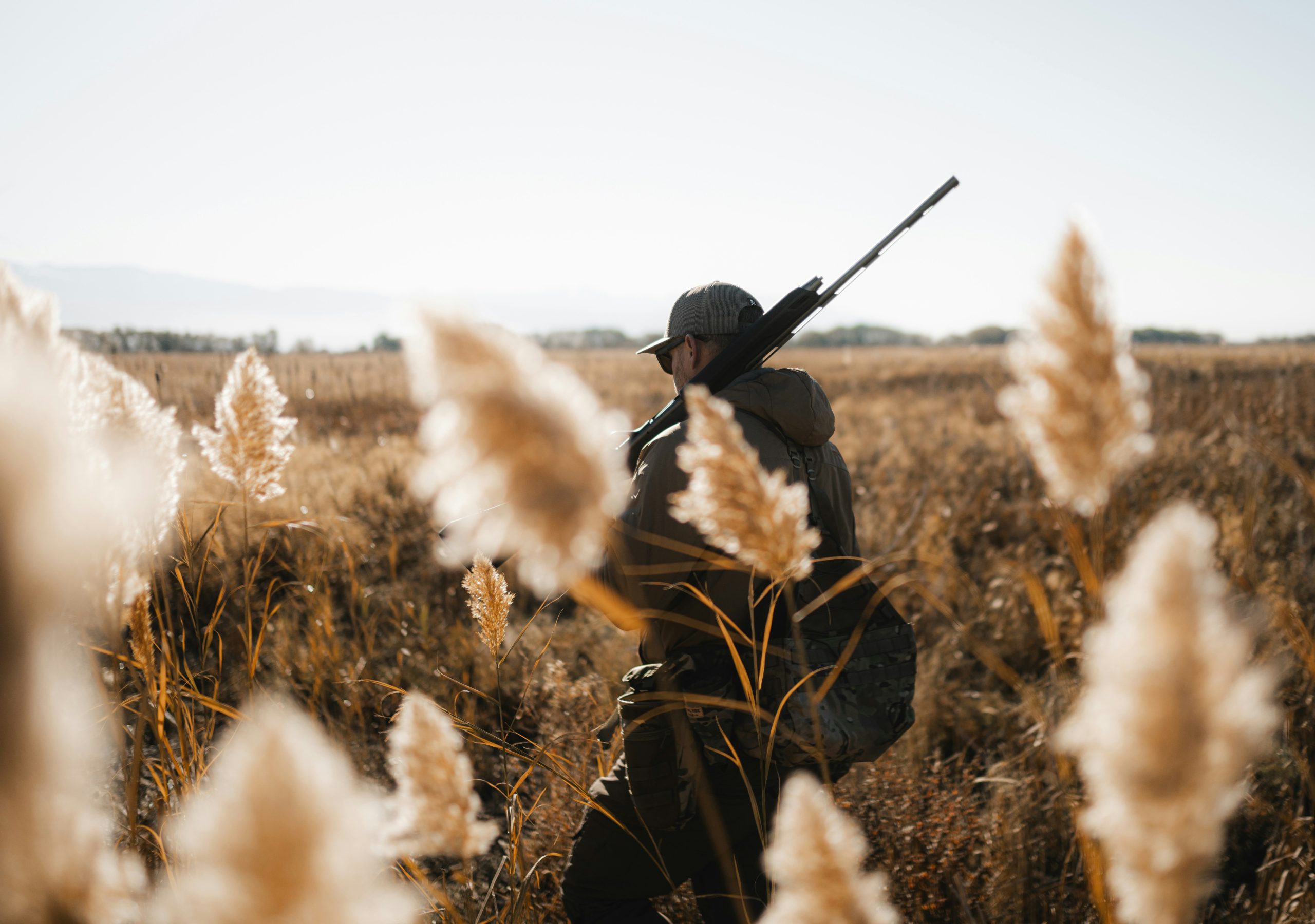 Why experience matters more than strength in hunting