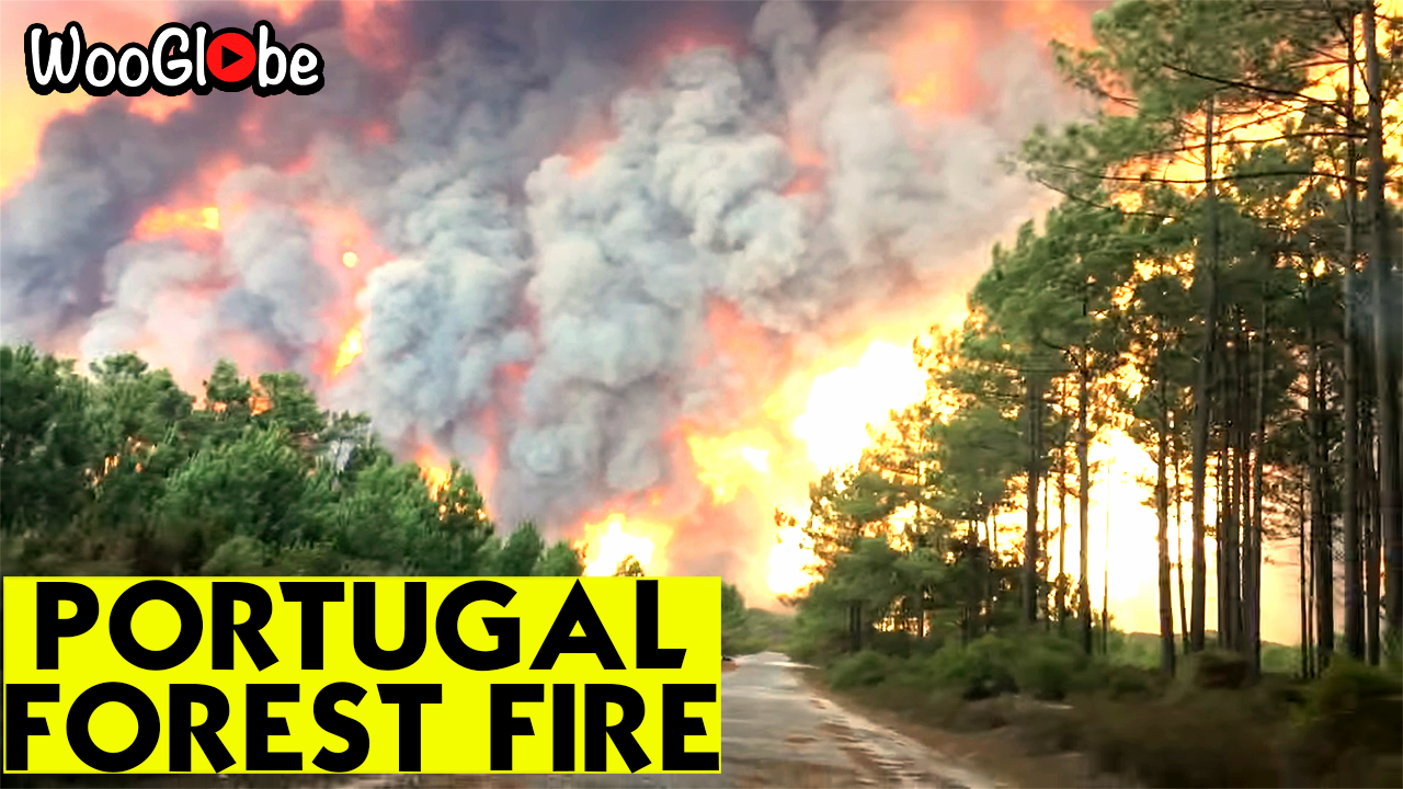 Portugal Forest Fire - São Pedro and Vieira Leiria Arder Fogo || WooGlobe